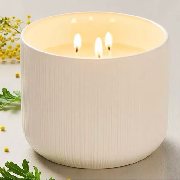 Hearth & Hand | Accents | Retired Rare Hearth And Hand 3 Lead Free ...